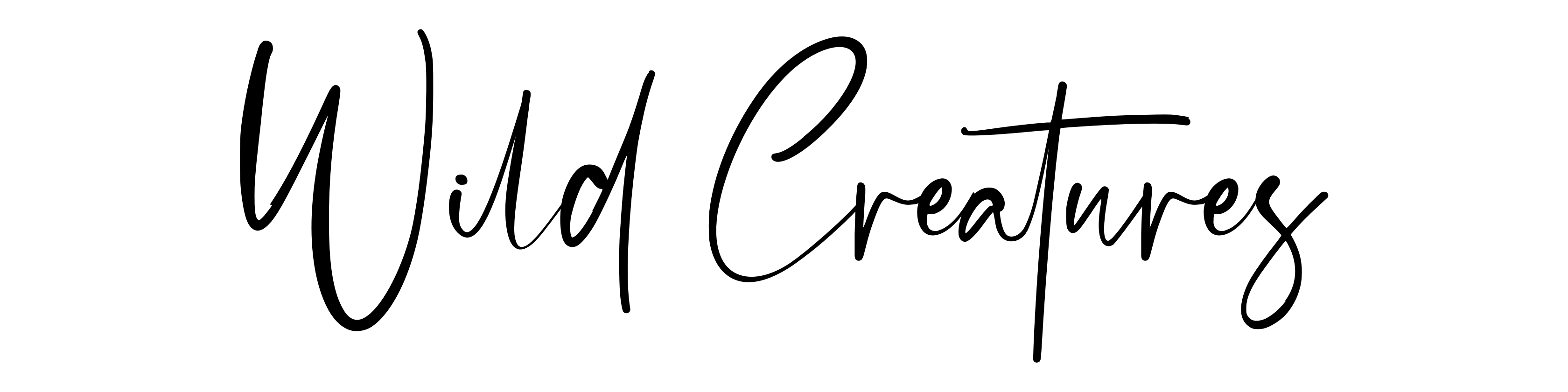 Wild Creatures | Square Edge Arts Centre