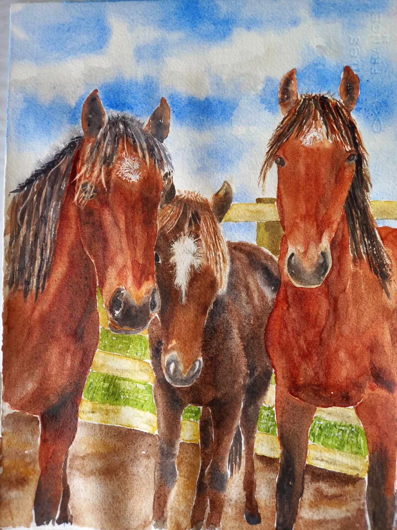 Alison Scott | Square Edge Arts Centre