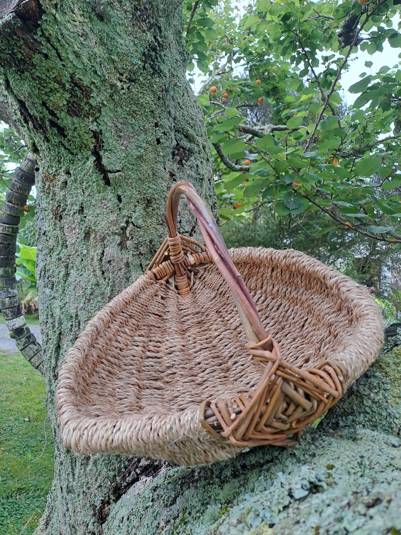 AngelCrab Wild Weaving | Square Edge Arts Centre